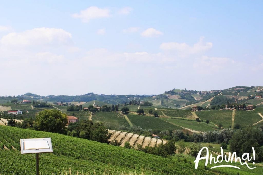 Tre cantine a Nizza Monferrato da visitare assolutamente » Anduma!