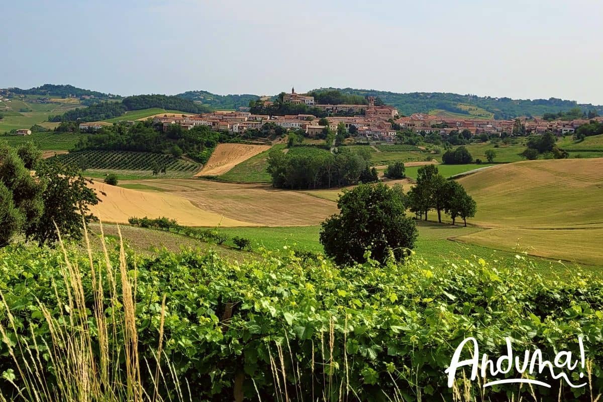 Aperitivo in vigna sulle colline del Monferrato