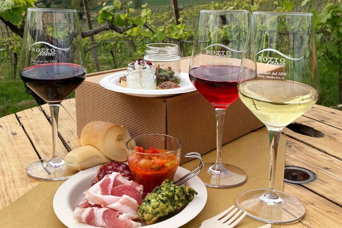 Aperitivo in vigna sulle colline del Monferrato